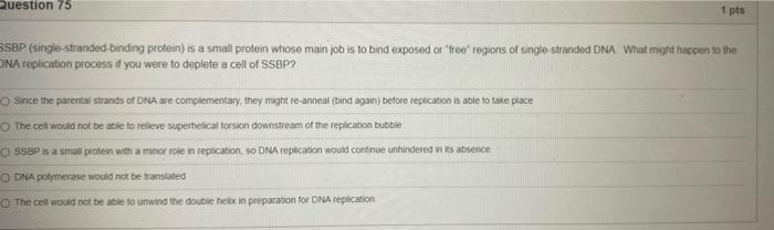 Solved Question 75 1 pts SSBP (single-stranded-binding | Chegg.com