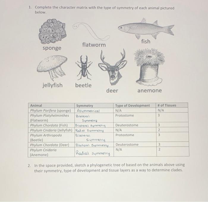 Solved 1. Complete the character matrix with the type of | Chegg.com
