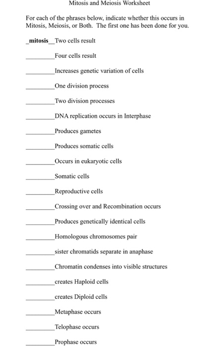 Solved Mitosis and Meiosis Worksheet For each of the phrases | Chegg.com