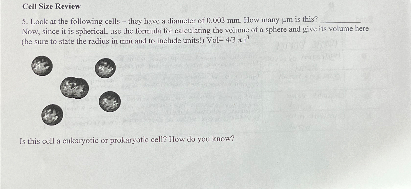 Solved Cell Size Review5. ﻿Look at the following cells - | Chegg.com