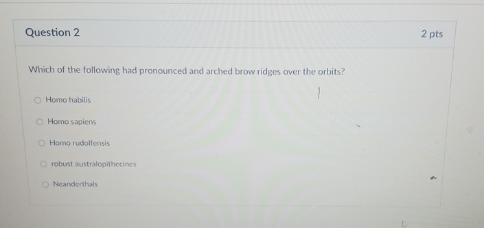 Solved Question 22 ﻿ptsWhich of the following had pronounced | Chegg.com