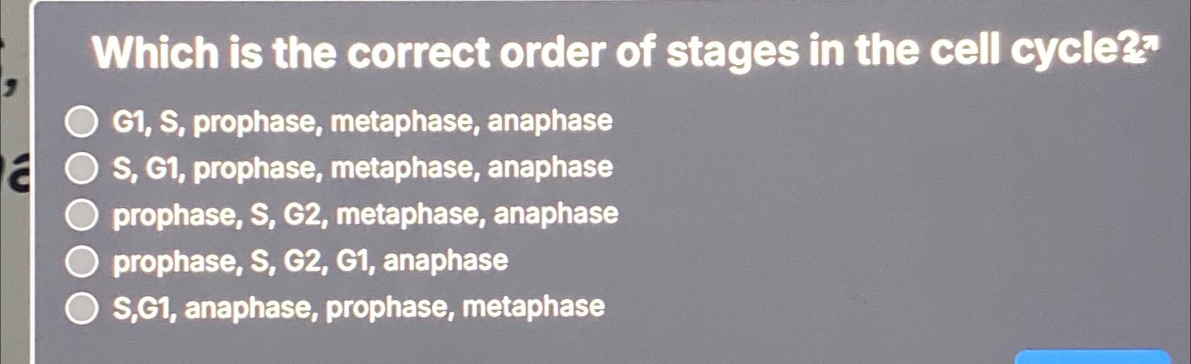 Solved Which is the correct order of stages in the cell | Chegg.com