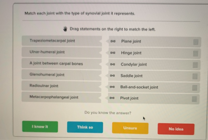 Solved Match Each Joint With The Type Of Synovial Joint It Chegg solved-match-each-joint-with-the-type-of-synovial-joint-it-chegg