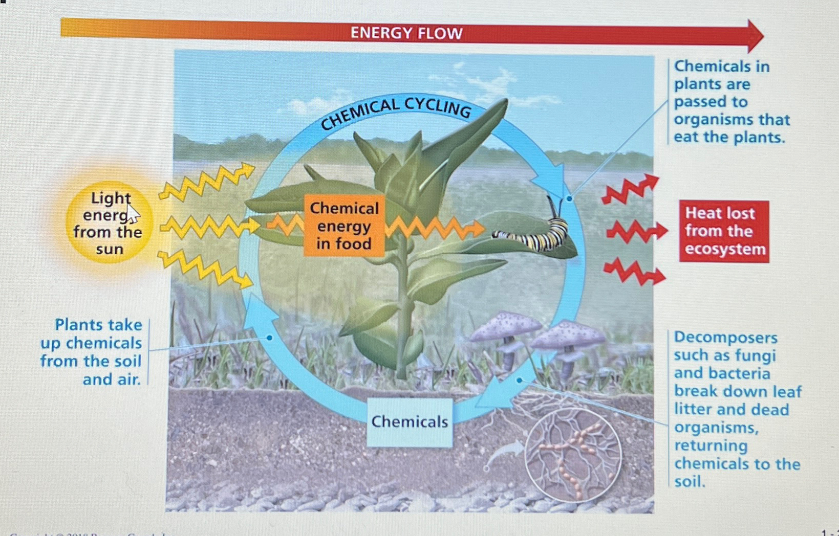 Solved I want an explanation of this diagram. Its related to | Chegg.com