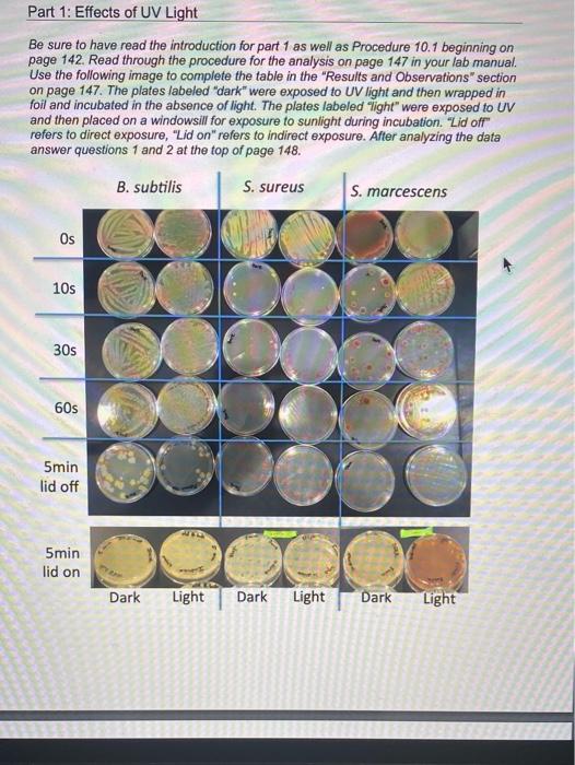 Solved NAME: SECTION: EXERCISE 10 Analysis Day 2 Part 1: | Chegg.com