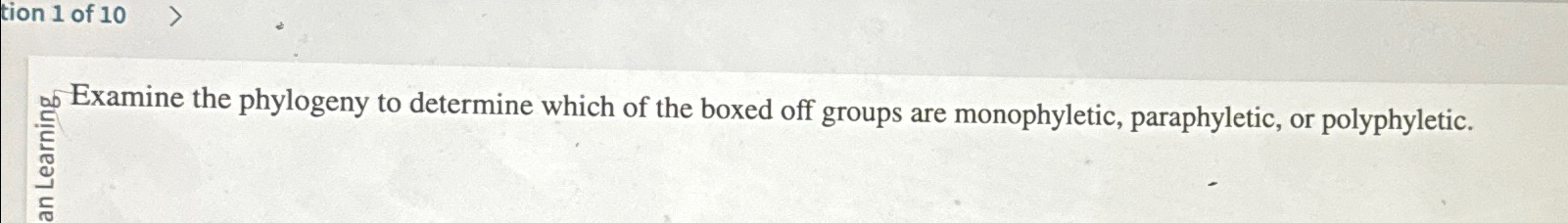 Solved an Examine the phylogeny to determine which of the | Chegg.com