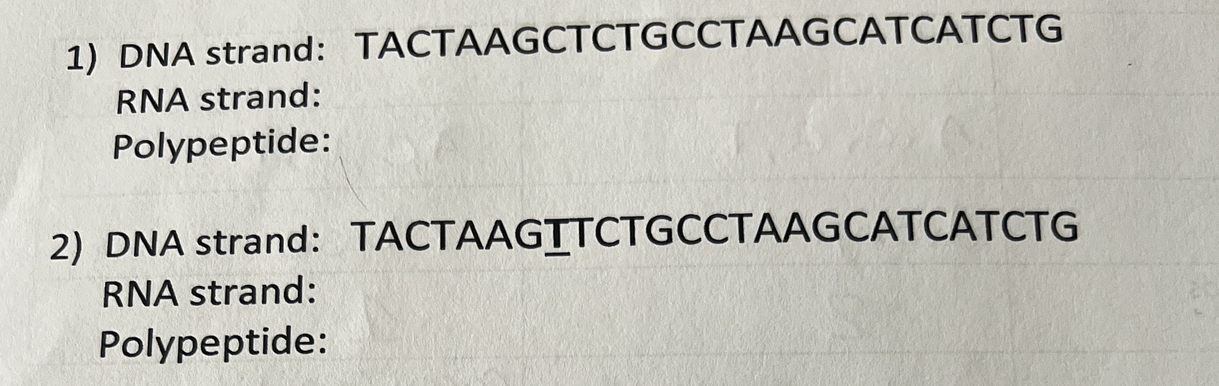 Solved DNA strand: TACTAAGCTCTGCCTAAGCATCATCTG RNA | Chegg.com