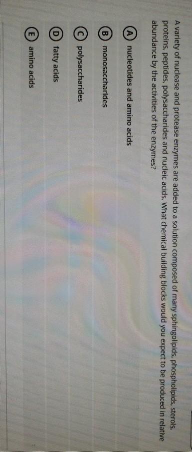 Solved Consider the mRNA coding nucleotide sequence: | Chegg.com