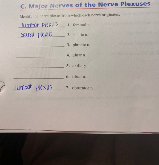 Solved identify the nerve plexus from which each nerve | Chegg.com