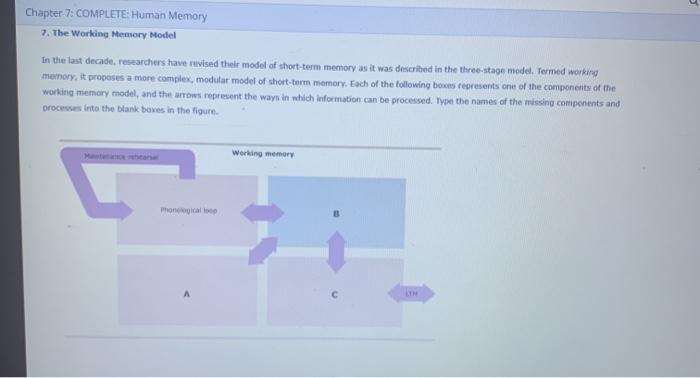 Chapter 7: COMPLETE: Human Memory 7. The Working | Chegg.com