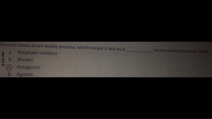 Solved select the correct answer anf explain why its corect, | Chegg.com Solved select the correct answer anf explain why its corect, | Chegg.com