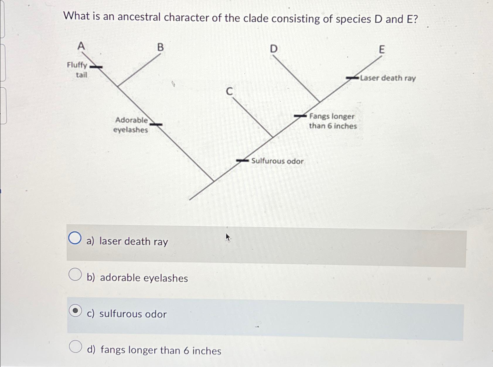 Solved What is an ancestral character of the clade | Chegg.com