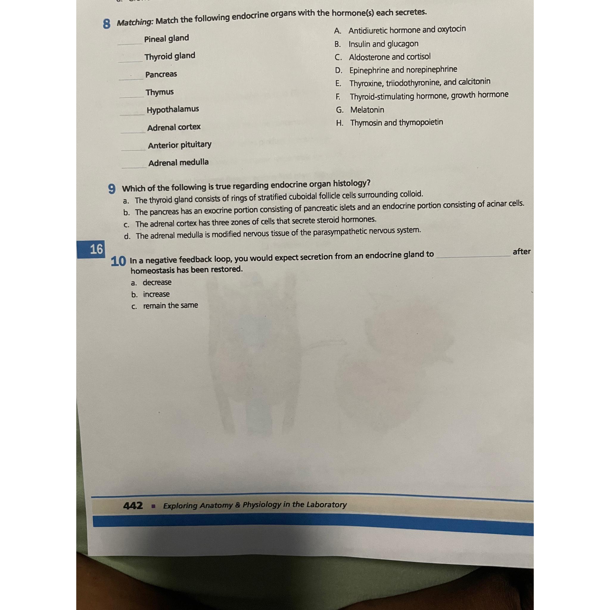 Solved 8 ﻿Matching: Match the following endocrine organs | Chegg.com