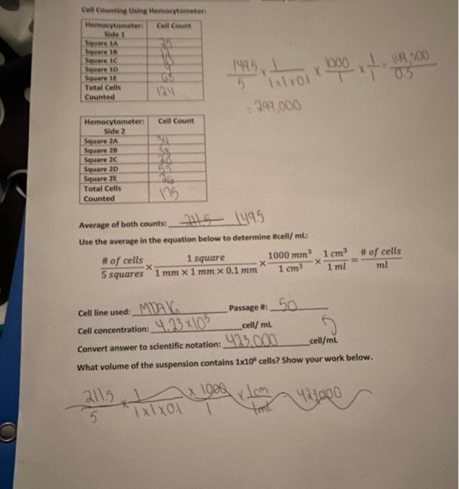 Solved I dont know if my math is right and I dont understand | Chegg.com
