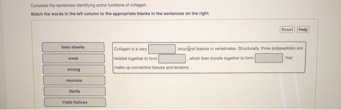 Solved Complete the sentences identifying some functions of | Chegg.com