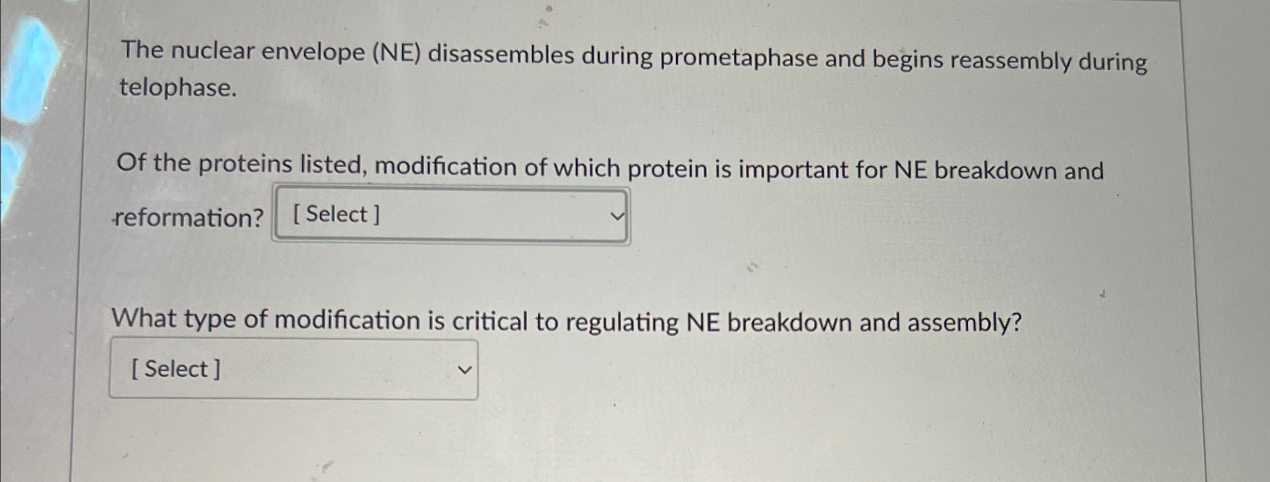 Solved The nuclear envelope (NE) ﻿disassembles during | Chegg.com