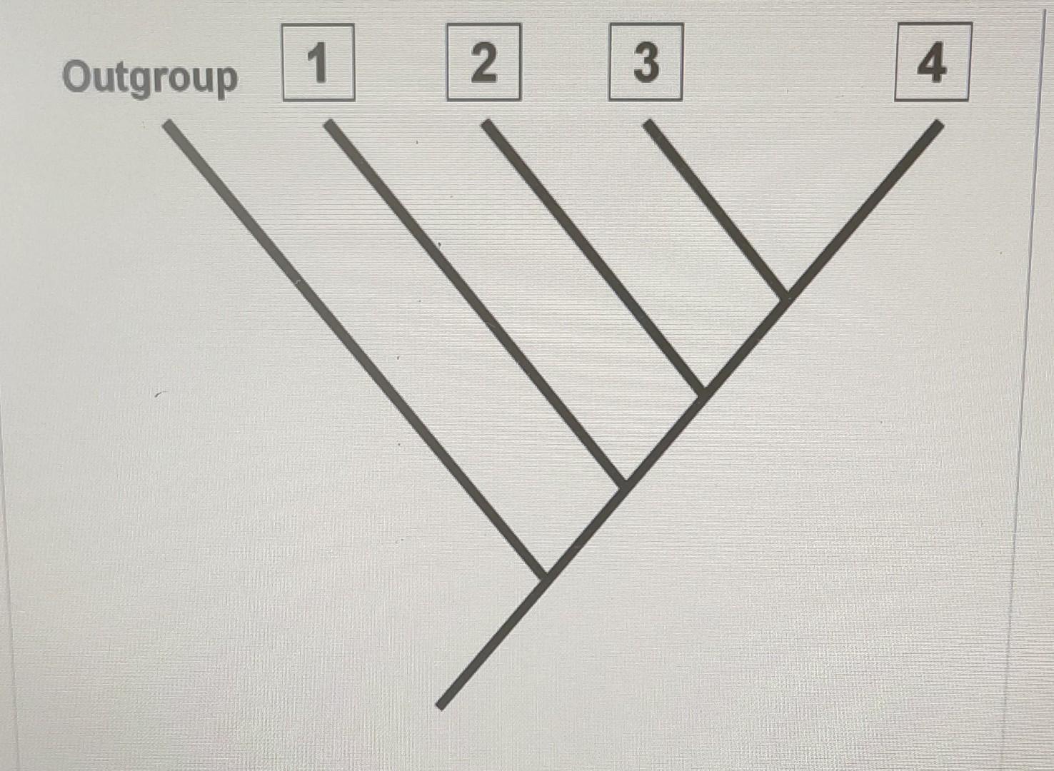 Solved In the table below is a short gene sequence in 4 | Chegg.com