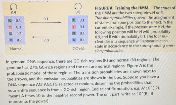 Solved FIGURE A Training the HMM. The states of the HMM are | Chegg.com