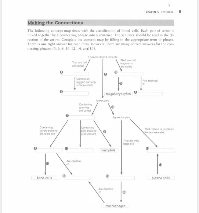 Solved Making the Connections The following concept map | Chegg.com