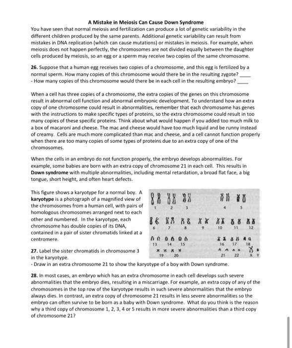 Solved A Mistake in Meiosis Can Cause Down Syndrome You have | Chegg.com