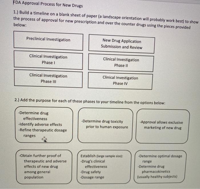 Solved FDA Approval Process for New Drugs 1.) Build a | Chegg.com