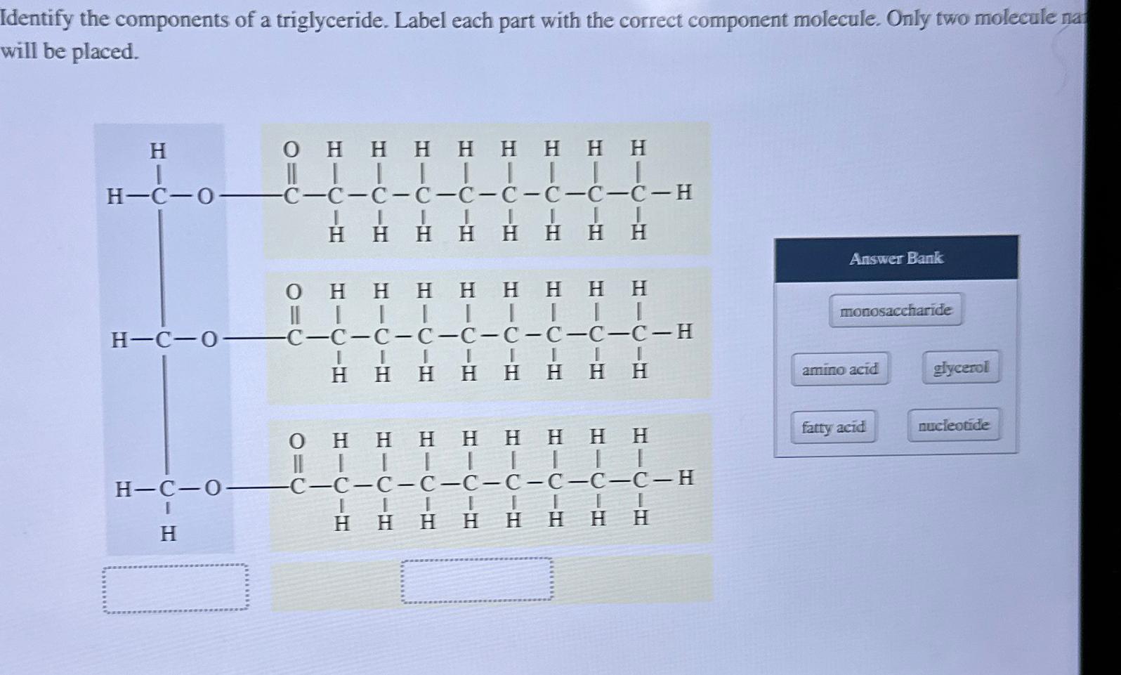 Solved Identify the components of a triglyceride. Label each | Chegg.com