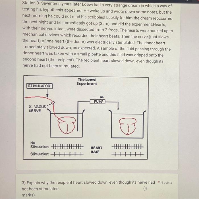 Solved Station 3- Seventeen years later Loewi had a very | Chegg.com