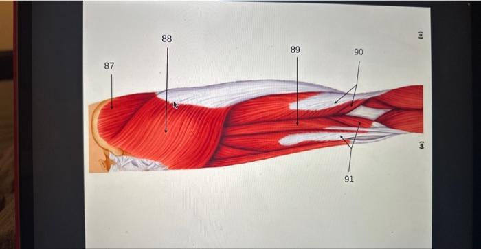 Hello! Is there any possible way i could get all 100 | Chegg.com