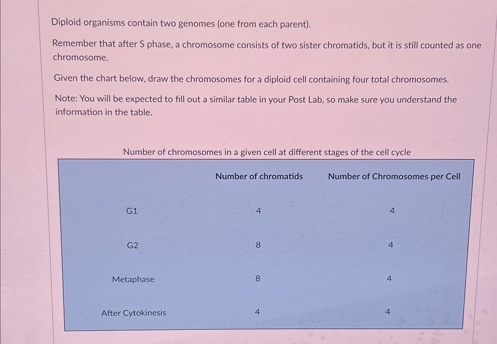 Solved Diploid organisms contain two genomes (one from each | Chegg.com