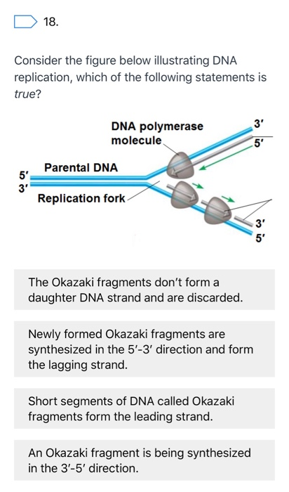 Solved 18. Consider the figure below illustrating DNA | Chegg.com