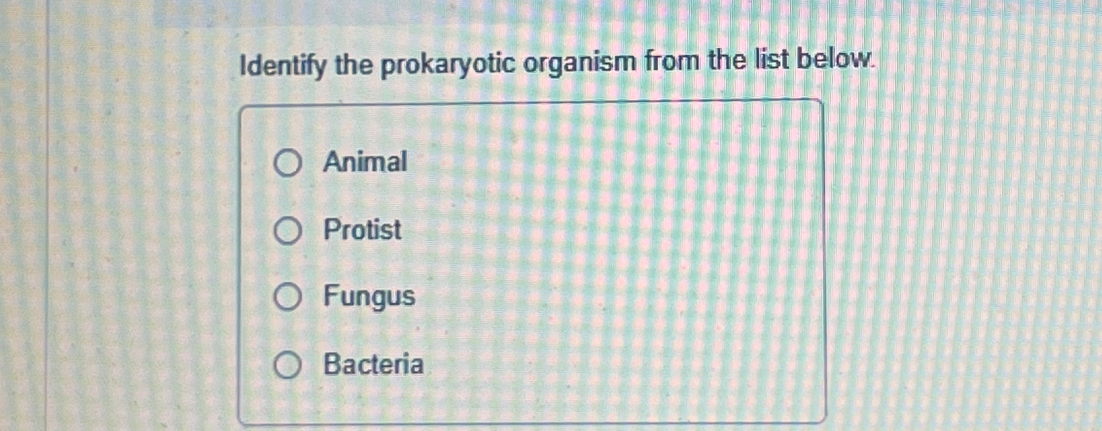 Solved Identify the prokaryotic organism from the list | Chegg.com