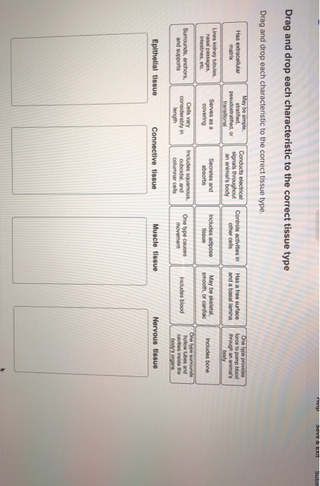 Solved neip Save & EXIT subm Drag and drop each | Chegg.com