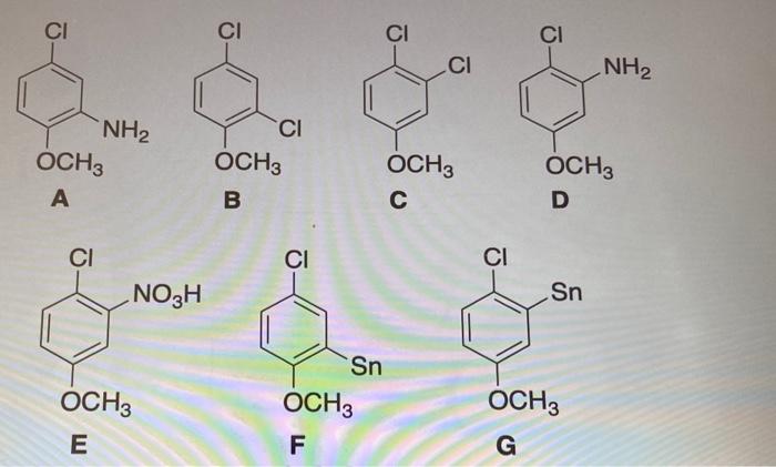Solved What is the major product from the following | Chegg.com