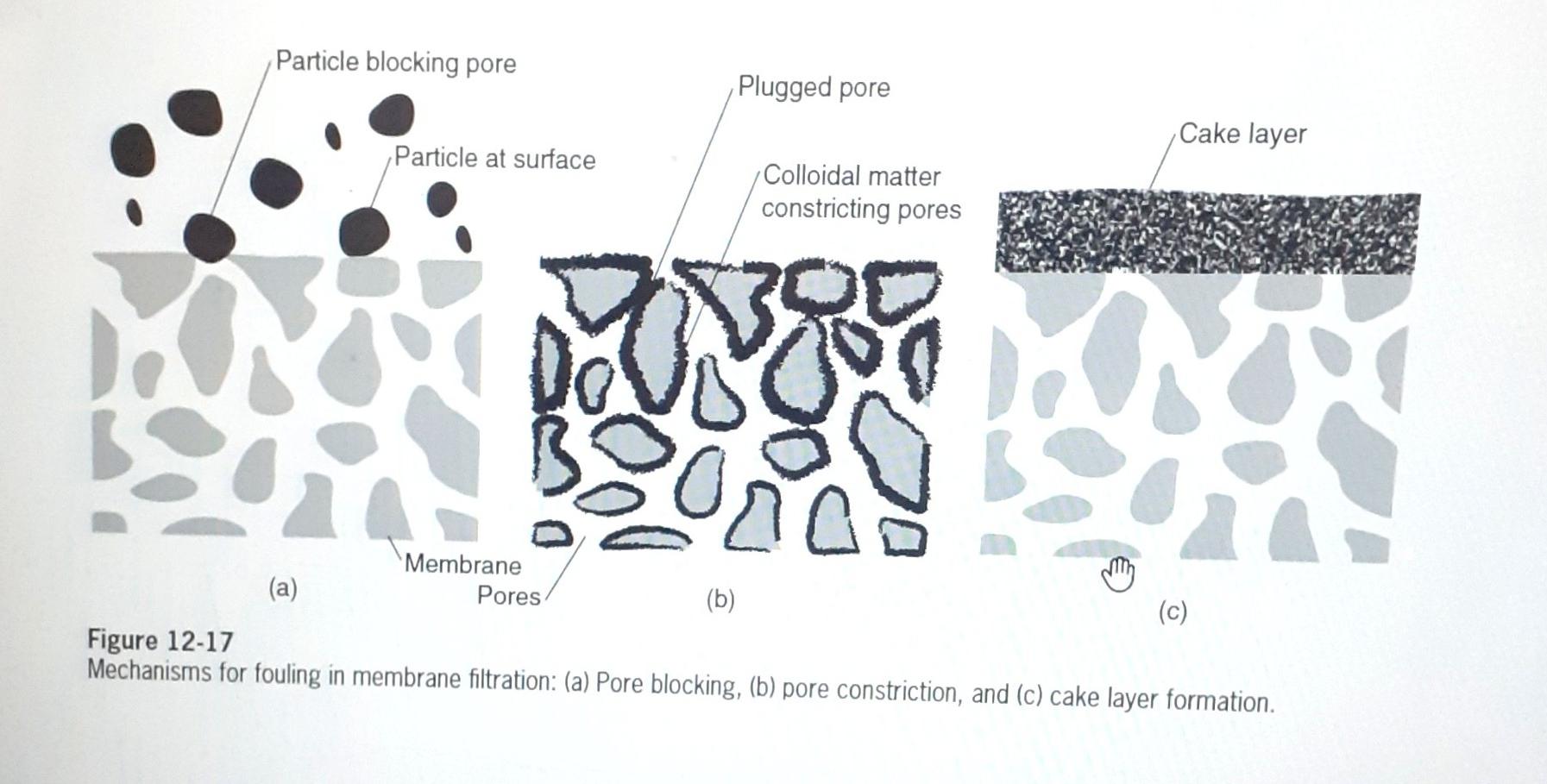 Solved Permanant flux loss (irreversible fouling) Chemically | Chegg.com