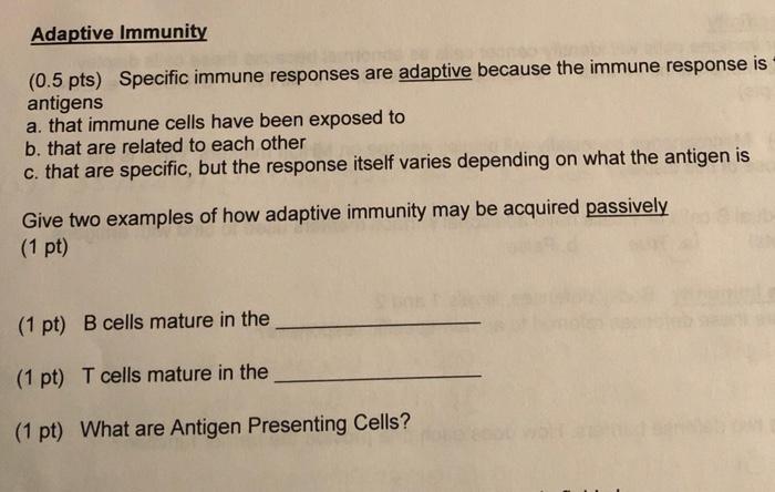 Solved Adaptive Immunity (0.5 pts) Specific immune responses | Chegg.com