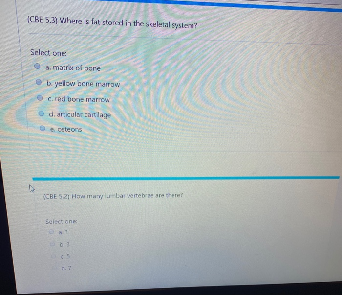 Solved (CBE 5.3) Where is fat stored in the skeletal system? | Chegg.com
