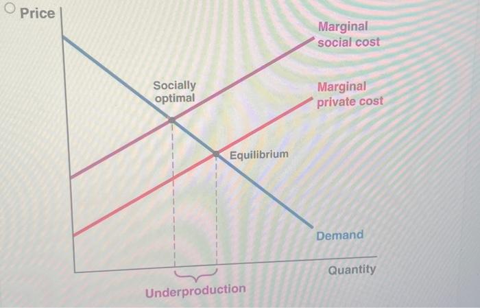 Solved Price Marginal social cost Marginal private cost | Chegg.com