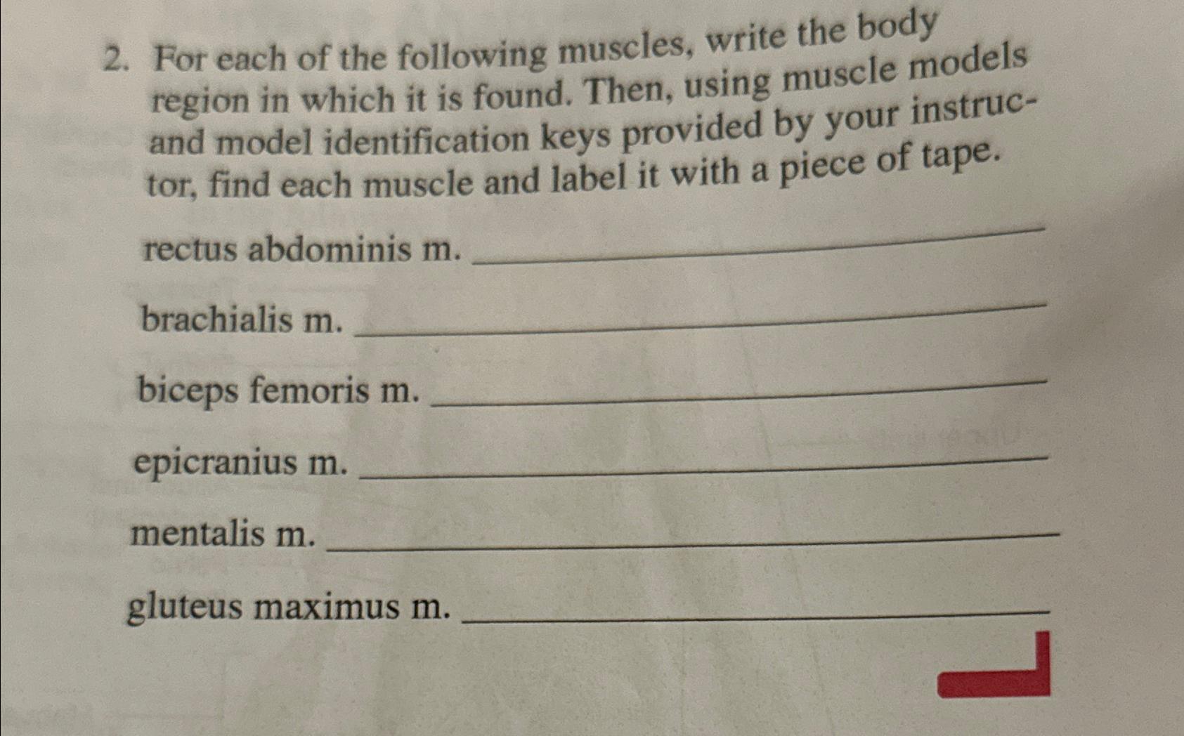 Solved For each of the following muscles, write the body | Chegg.com