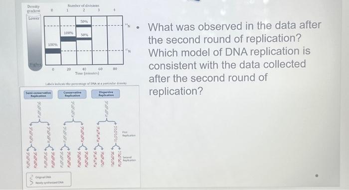 Solved What was observed in the data after the second round | Chegg.com