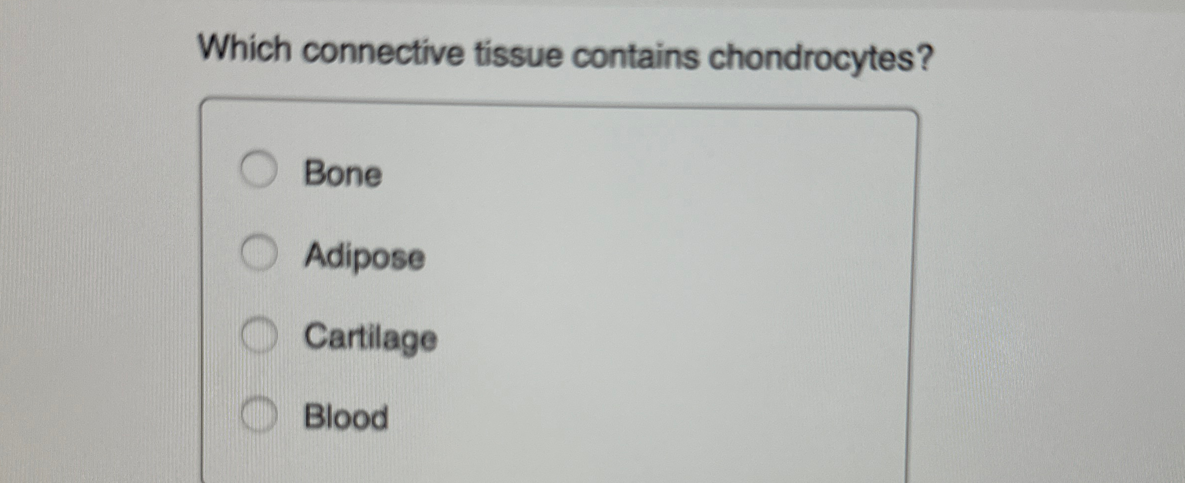 Solved Which connective tissue contains | Chegg.com
