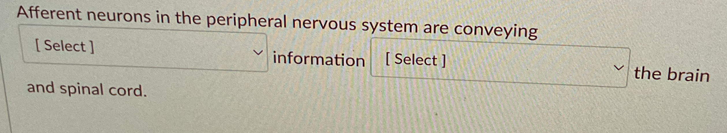 Solved Afferent neurons in the peripheral nervous system are | Chegg.com