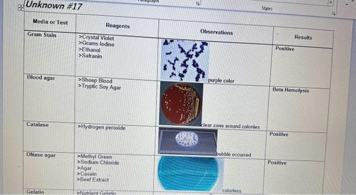 Solved Based on the following test observed: - Gram stain > | Chegg.com