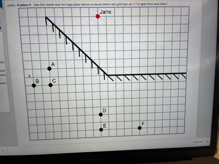 Solved (13\%) Problem 5: Jane Doe stands near two large | Chegg.com