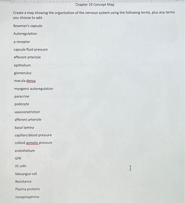 Solved Chapter 19 Concept Map Create a map showing the | Chegg.com