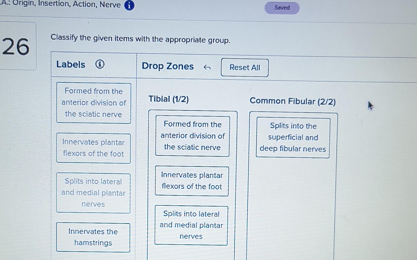 Solved 26 Classify the given items with the appropriate | Chegg.com