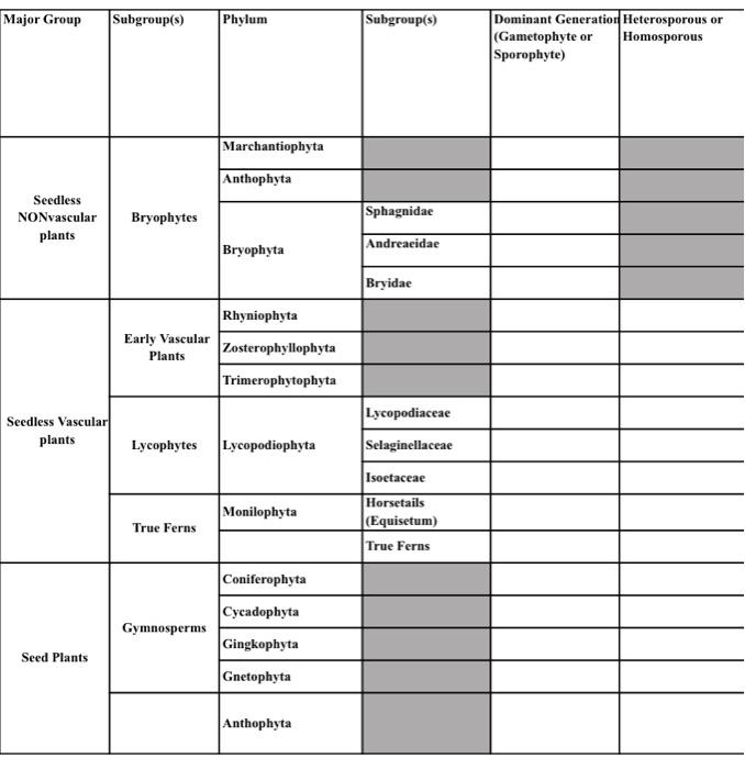 Summary of Characteristic of Major Plant Groups | Chegg.com