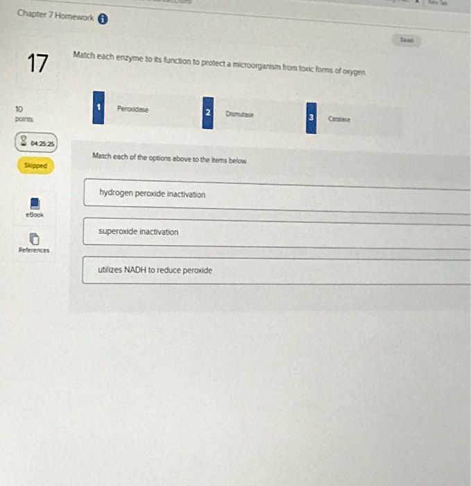 Solved Chapter 7 Homework Match each enzyme to its function | Chegg.com