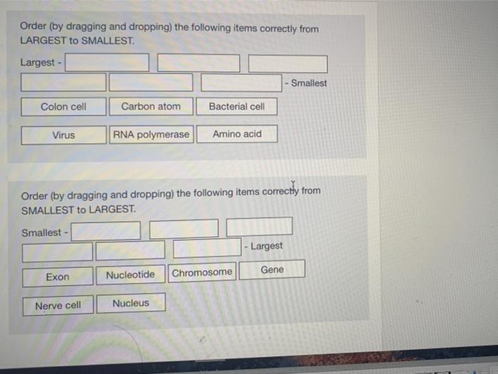Solved Order (by dragging and dropping) the following items | Chegg.com