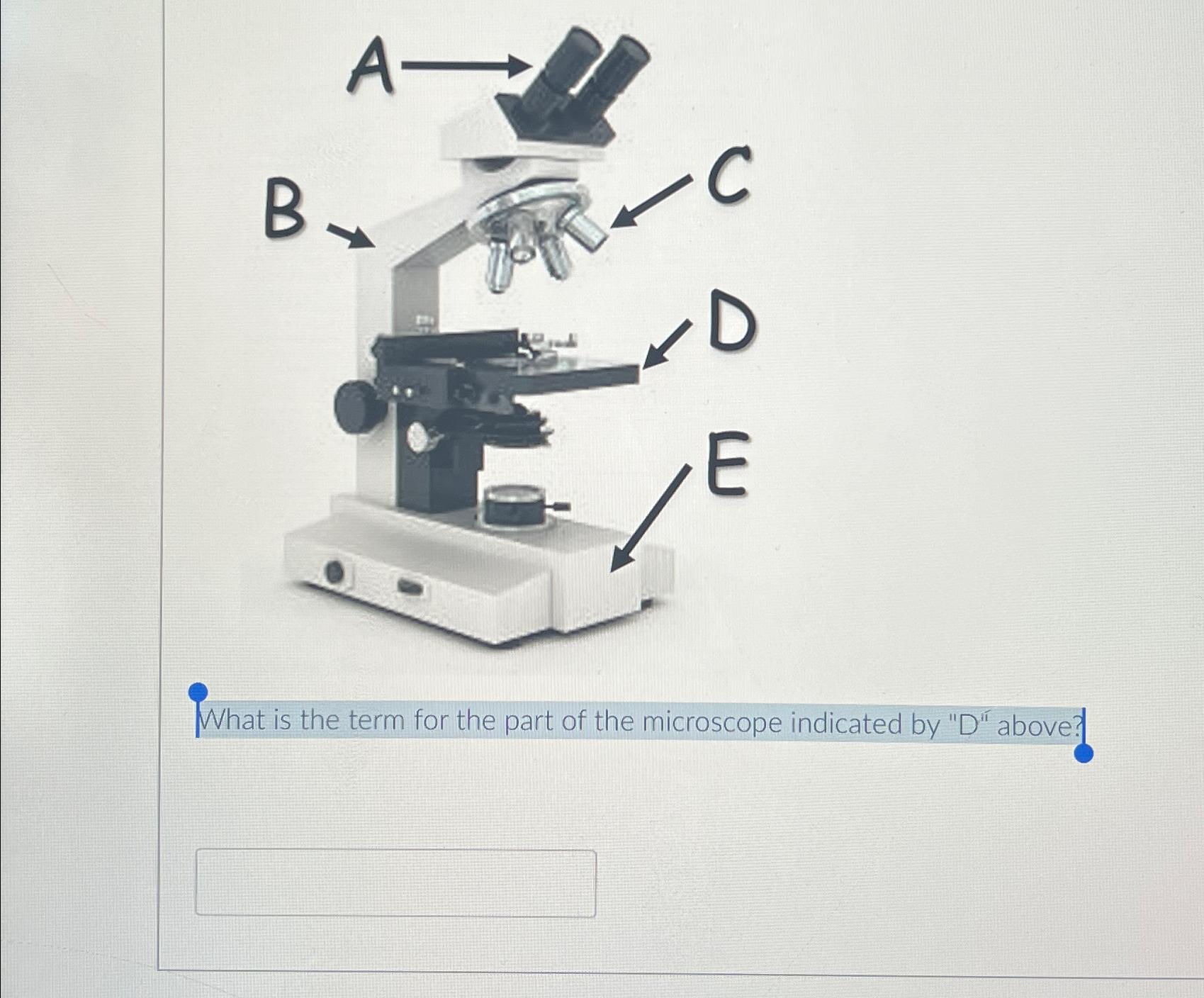 Solved What is the term for the part of the microscope | Chegg.com