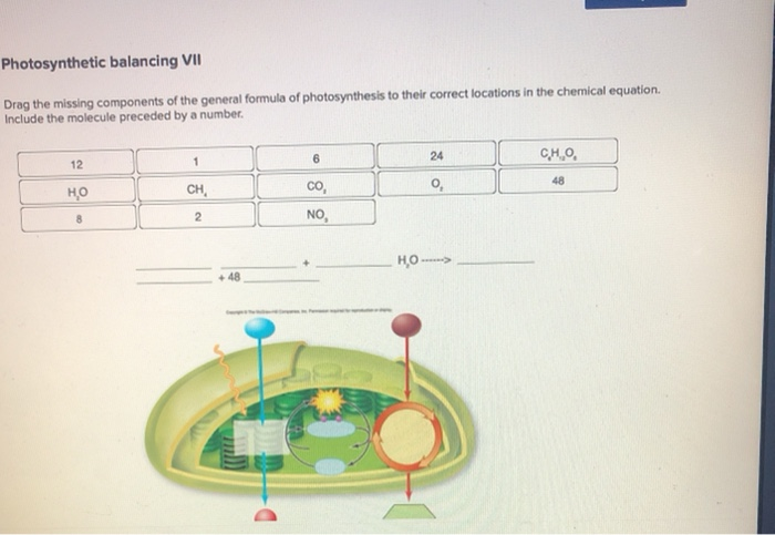 Solved Photosynthetic balancing VII Drag the missing | Chegg.com